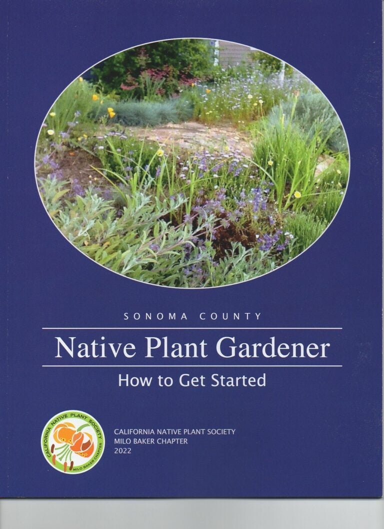 Laguna Environmental Center Native Plant Demonstration Garden - Sonoma ...
